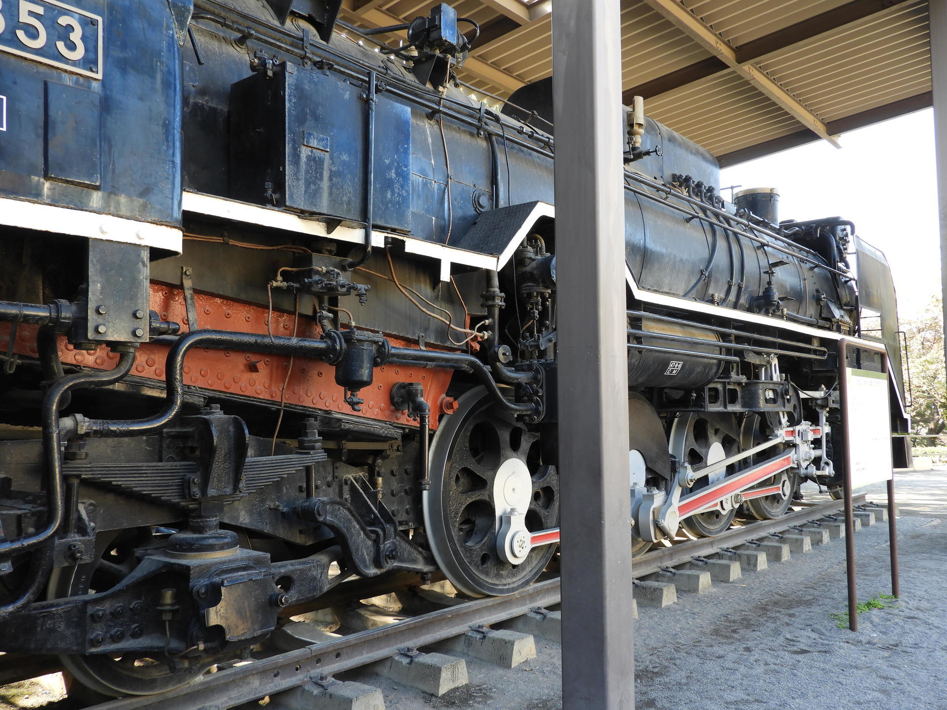 機関車D51 飛鳥山公園: donguri8