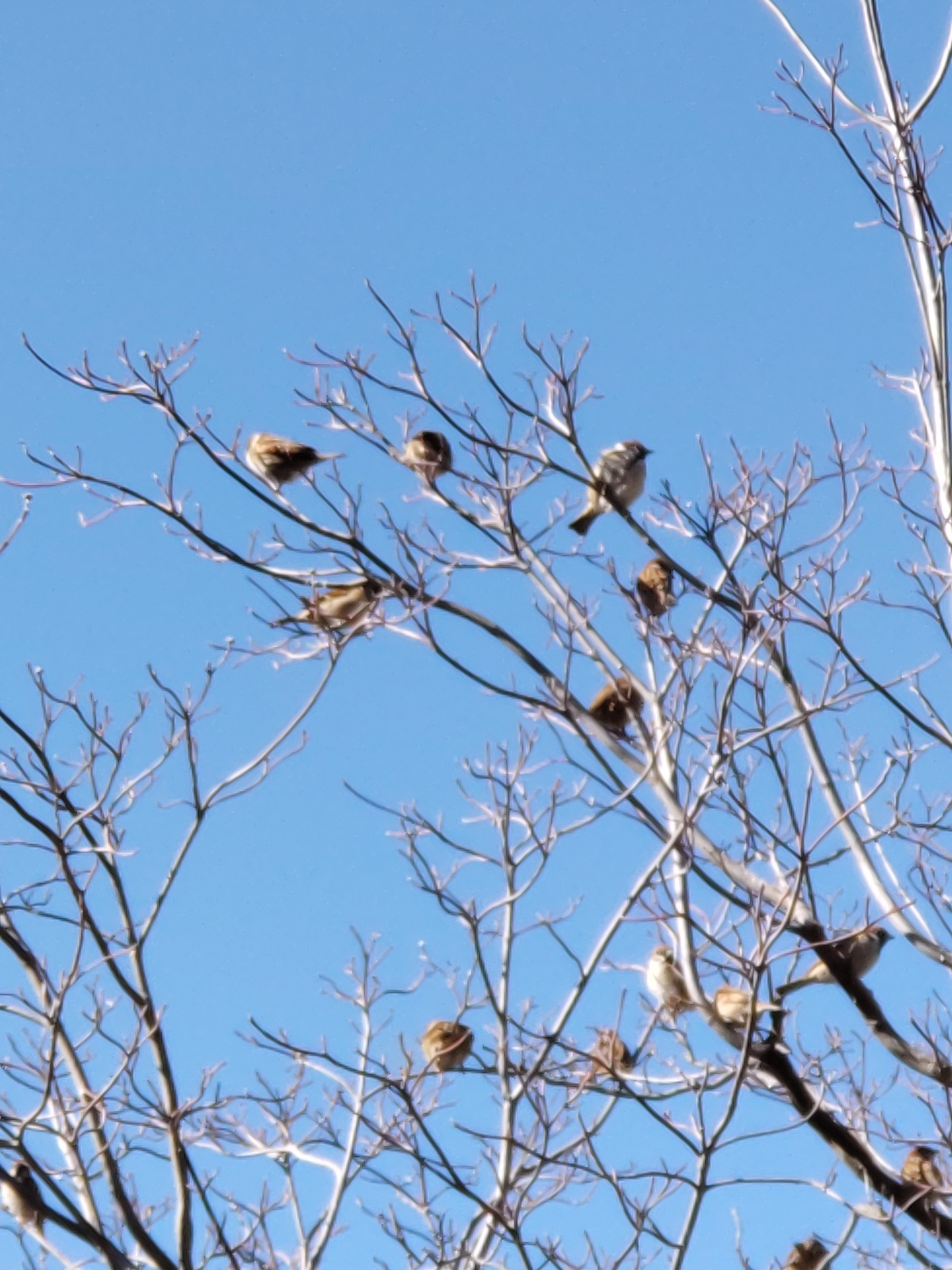 エル・ポエタ水彩教室展へ: donguri8